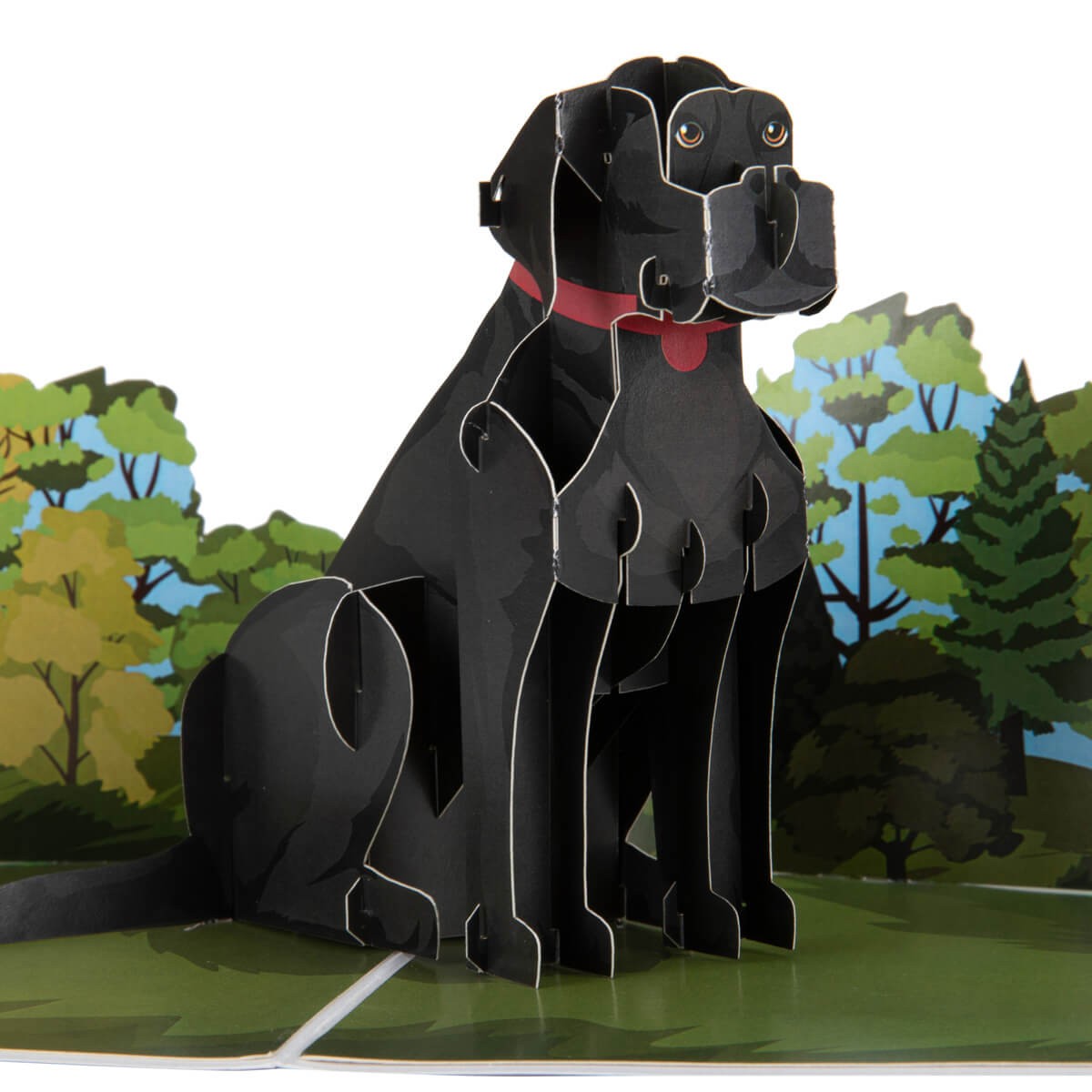 Cardology - Black Labrador Pop Up Card for Birthdays - 3D Dog Cards
