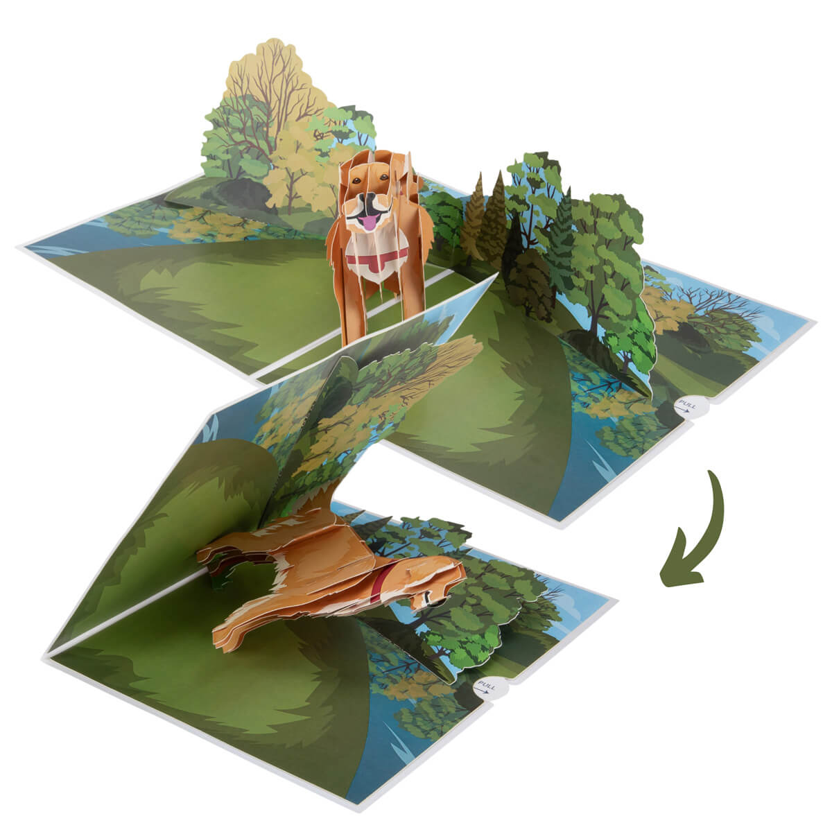 Cardology - Golden Retriever Pop Up Card for Birthdays | 3D Dog Cards