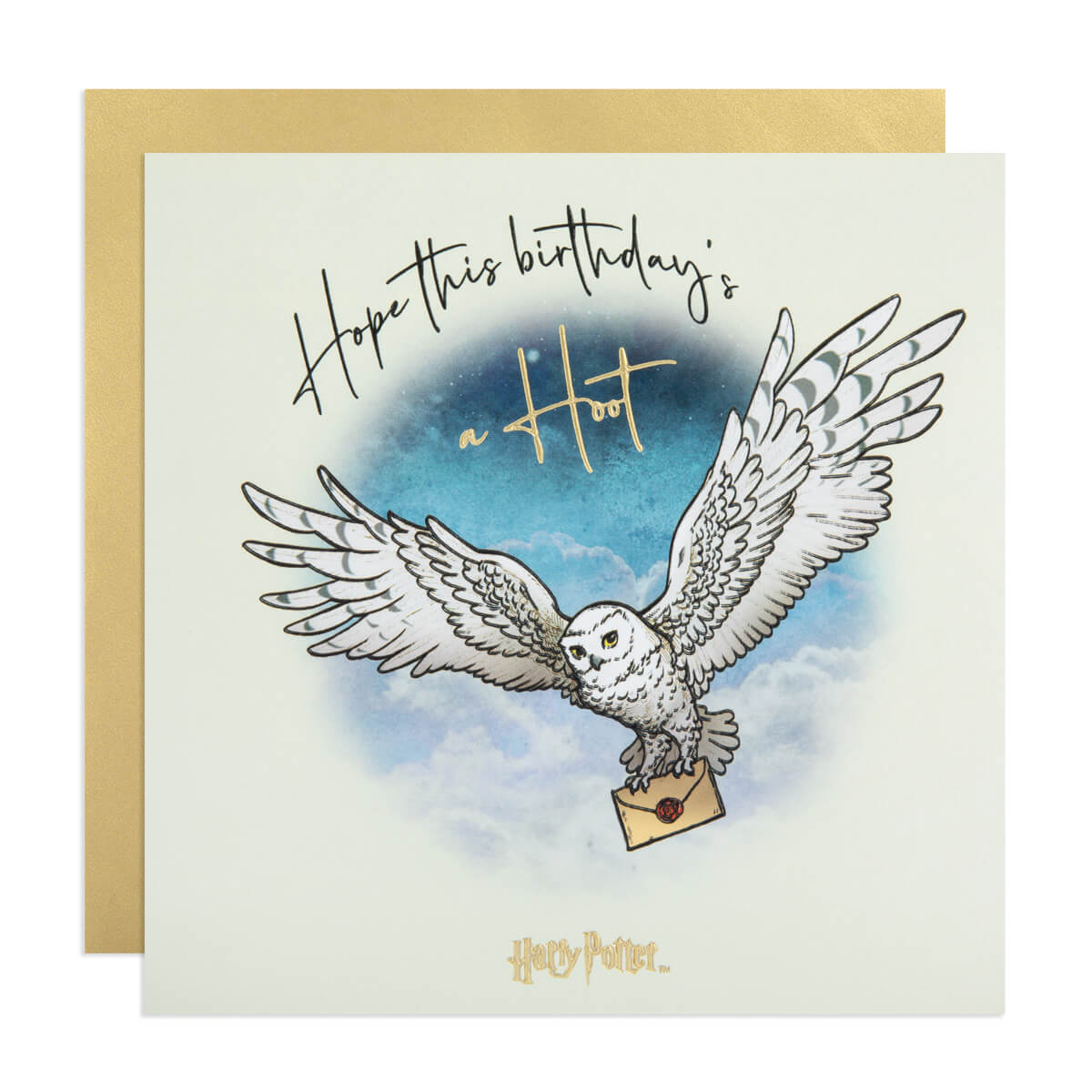 Harry Potter Hedwig Birthday Card - Officially Licensed - Cardology