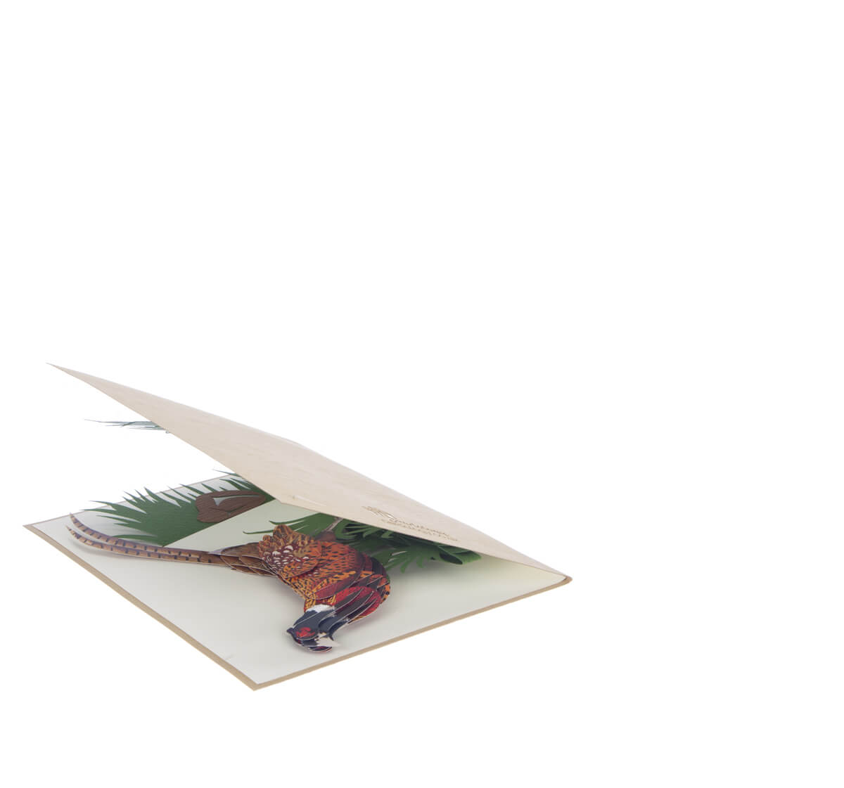 Pheasant Pop Up Card, Shooting Gifts, Shooting Cards | cardology.co.uk ...