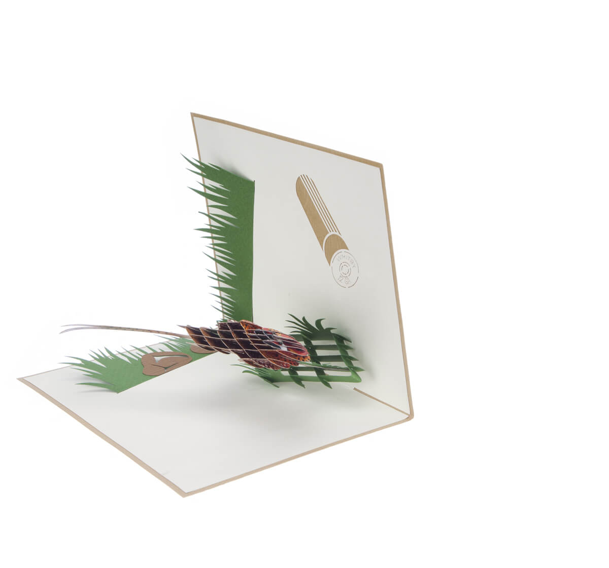 Pheasant Pop Up Card, Shooting Gifts, Shooting Cards | cardology.co.uk ...